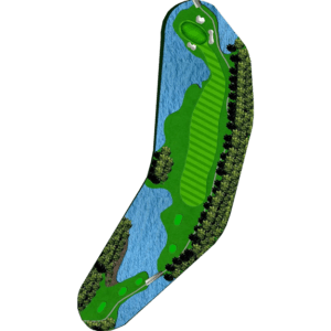 Marsh Hawk | Ford's Colony Country Club | Williamsburg, VA